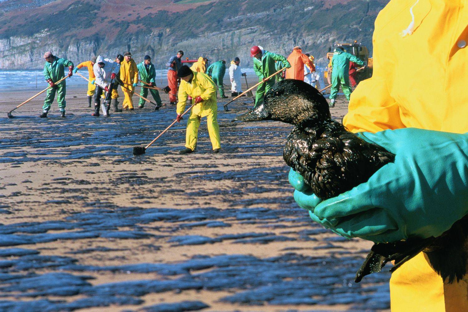 Huge 400 000 gallon Oil Spill Threatens Ecosystems In The Gulf Of Huge 400 000 gallon Oil Spill Threatens Ecosystems In The Gulf Of